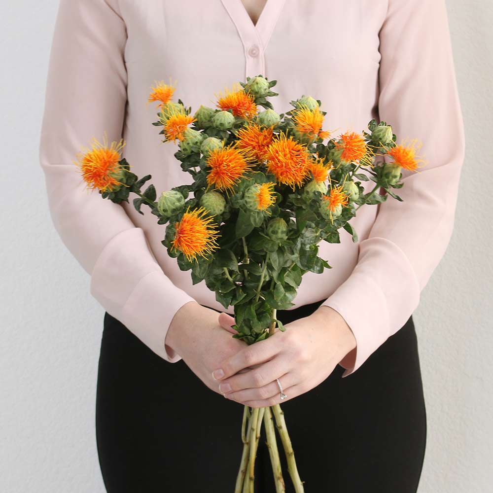 Farm Fresh To You - Farm Product Details