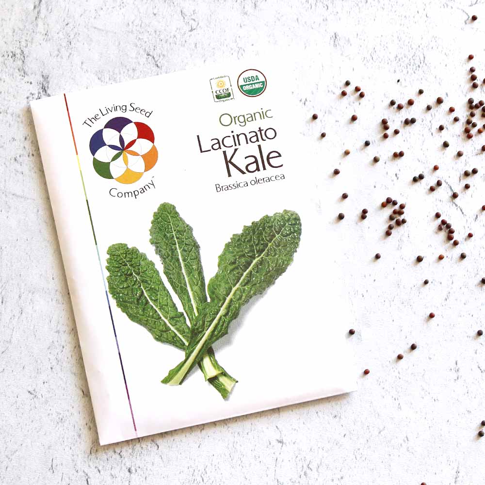 The Living Seed Company Organic Lacinato Kale Seeds | Farm Fresh To You
