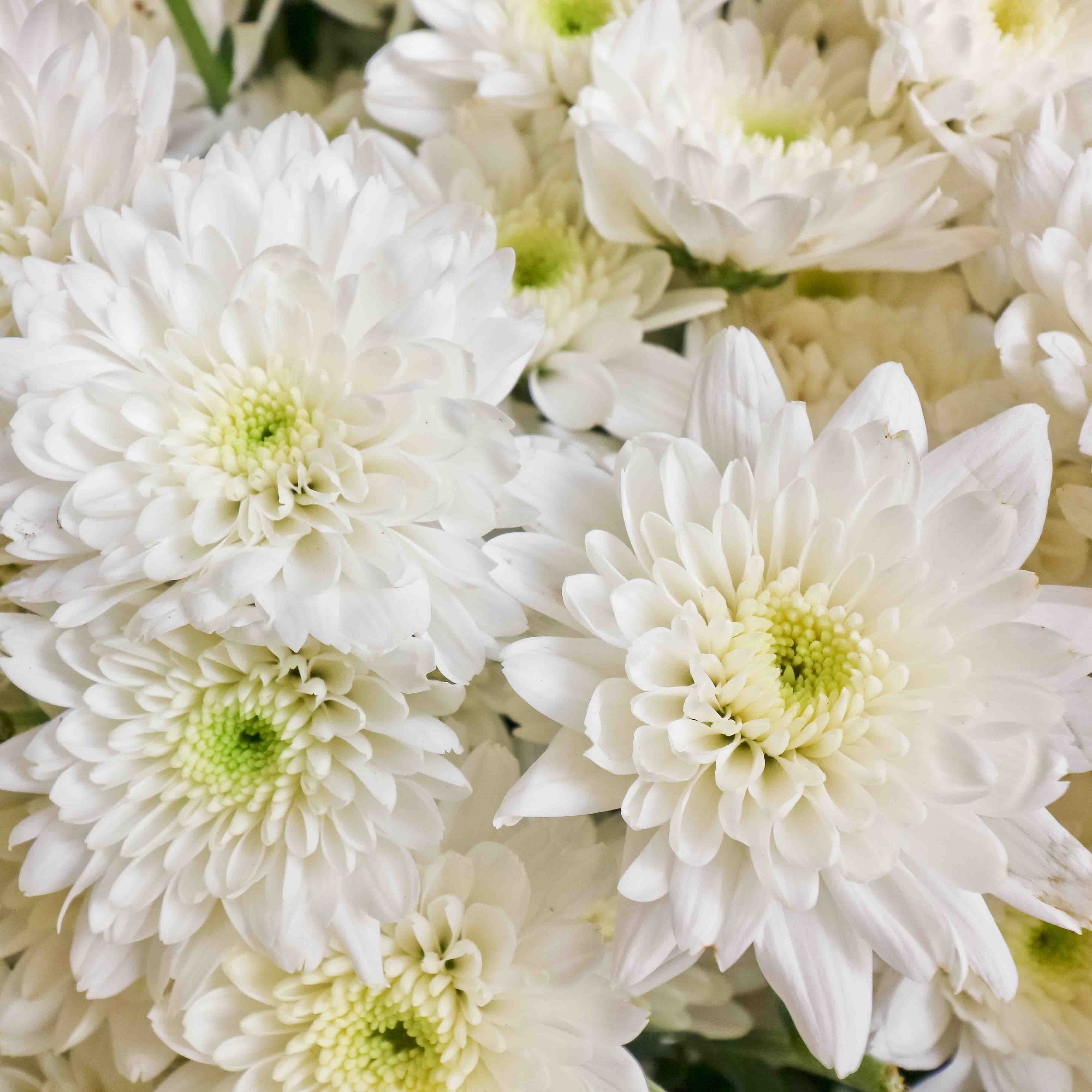 Farm Fresh To You - Farm Product Details