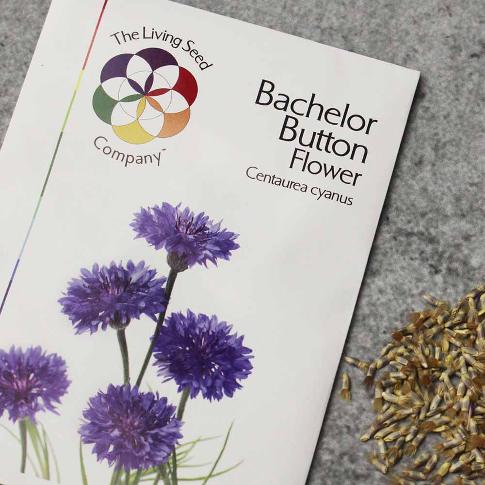 The Living Seed Company Bachelor Button Flower Seeds | Farm Fresh To You