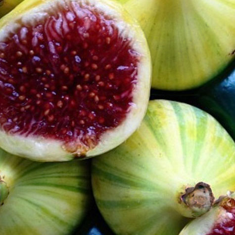 Capay Organic Capay Candystripe Fig | Farm Fresh To You